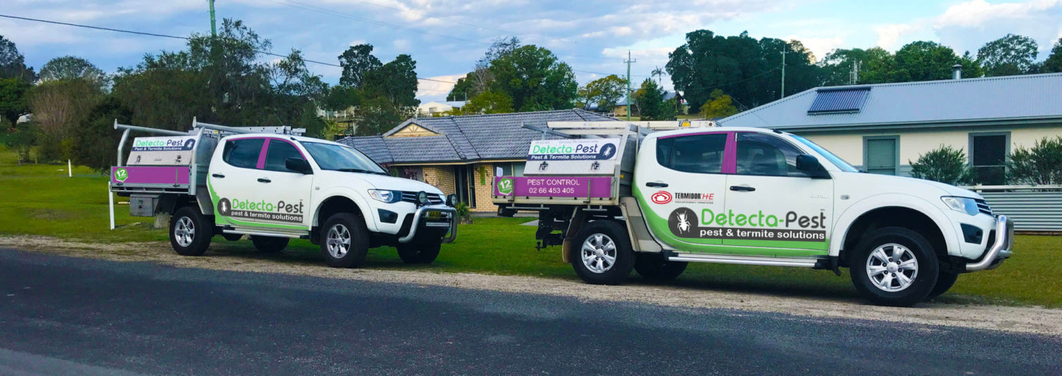 Best Pest Control Services & Termite Specialist Near Me